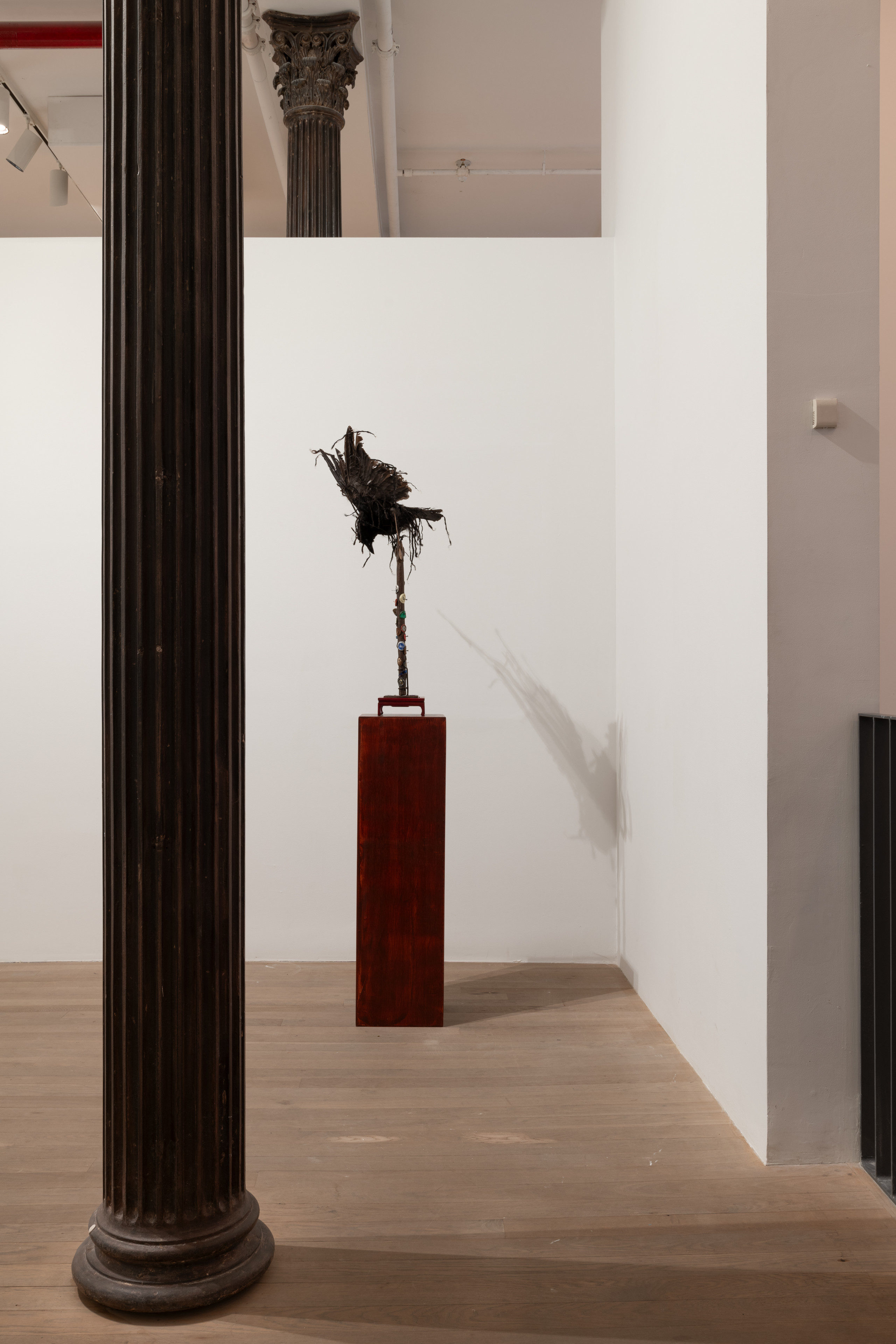 Andy Robert: Papaloko