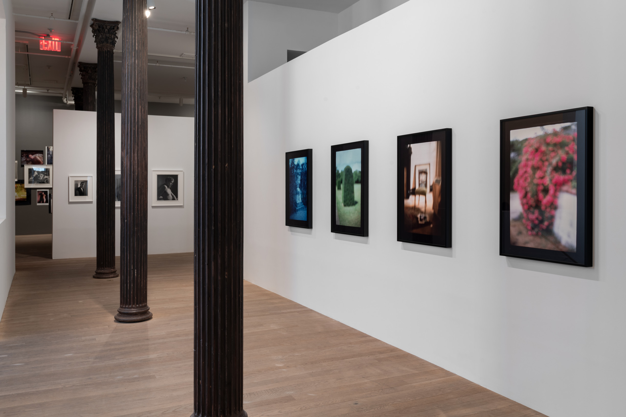 David Armstrong: Portraits