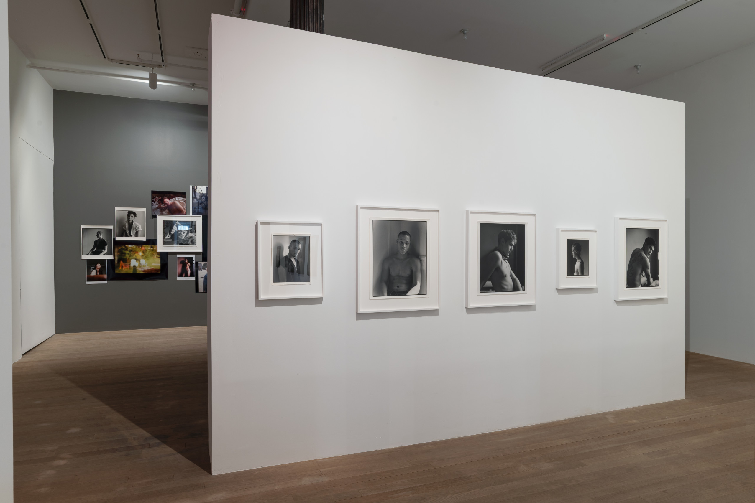 David Armstrong: Portraits