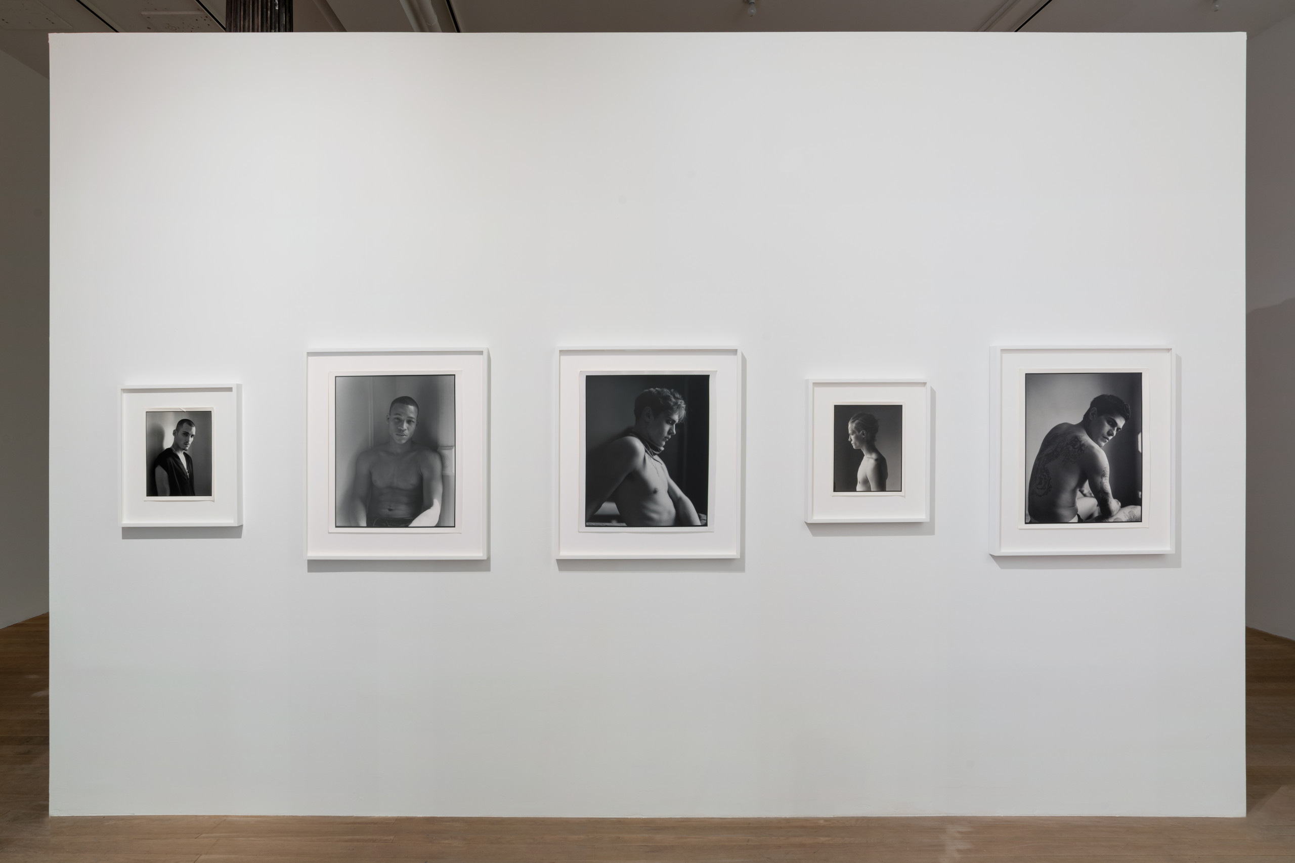 David Armstrong: Portraits
