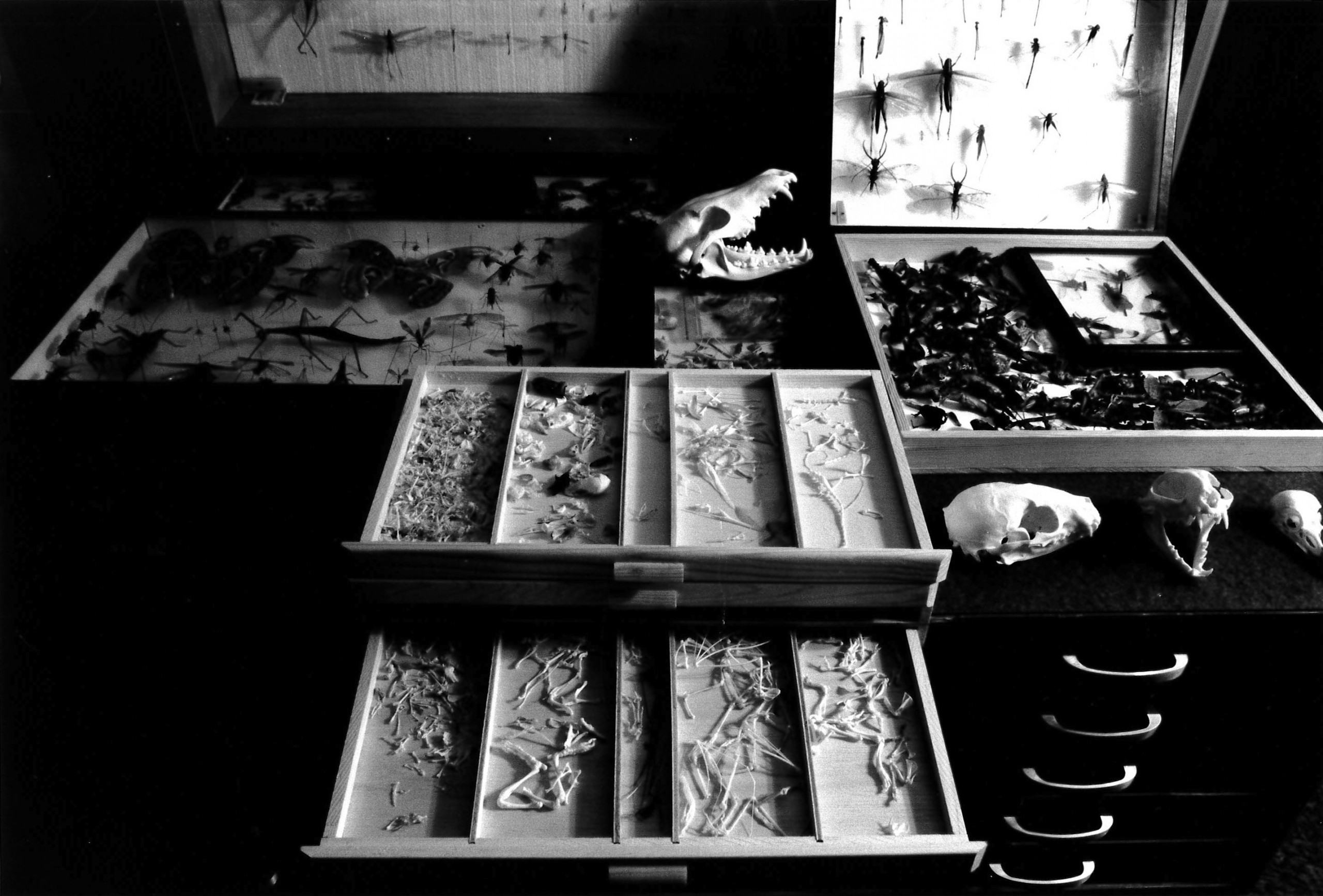 Reconstructions, assemblages