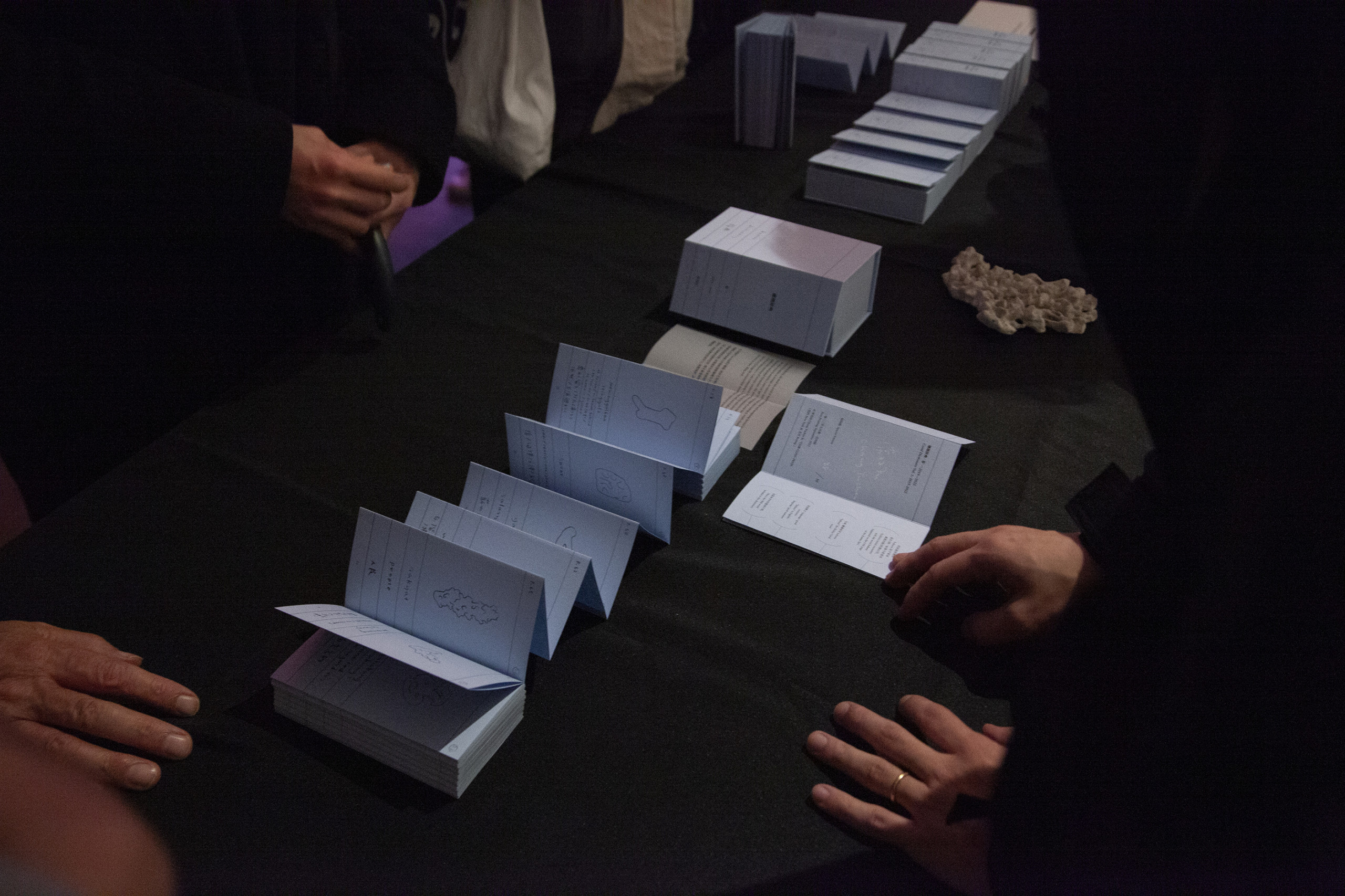Chang Yuchen: Coral Dictionary Vol. 1, 2019-2022